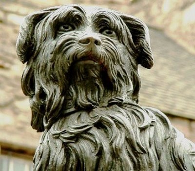 Criadero La Pureza - Bobby, el perro que vive en el tiempo